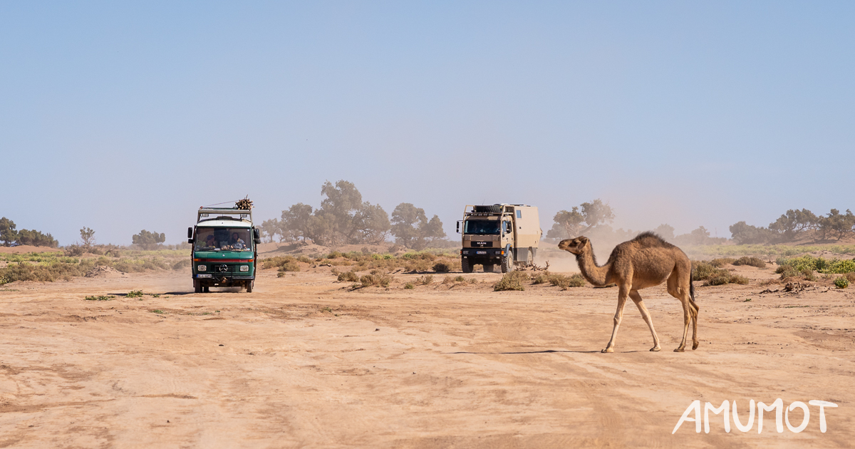 LiFePo4 Selbstbau - "der Einbau" - Wohnmobilaufbau - Ducatoforum.de
